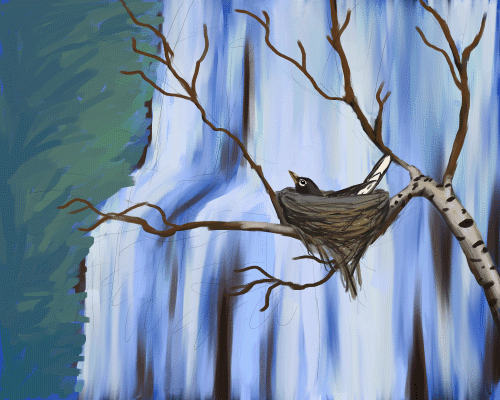 Conifer Community Church: Advent: Peace 01