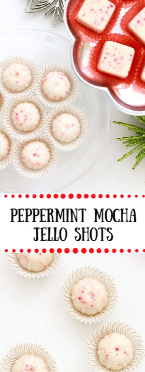 Peppermint Mocha Jello Shots #christmas #dessert | Nova Tasty Recipes