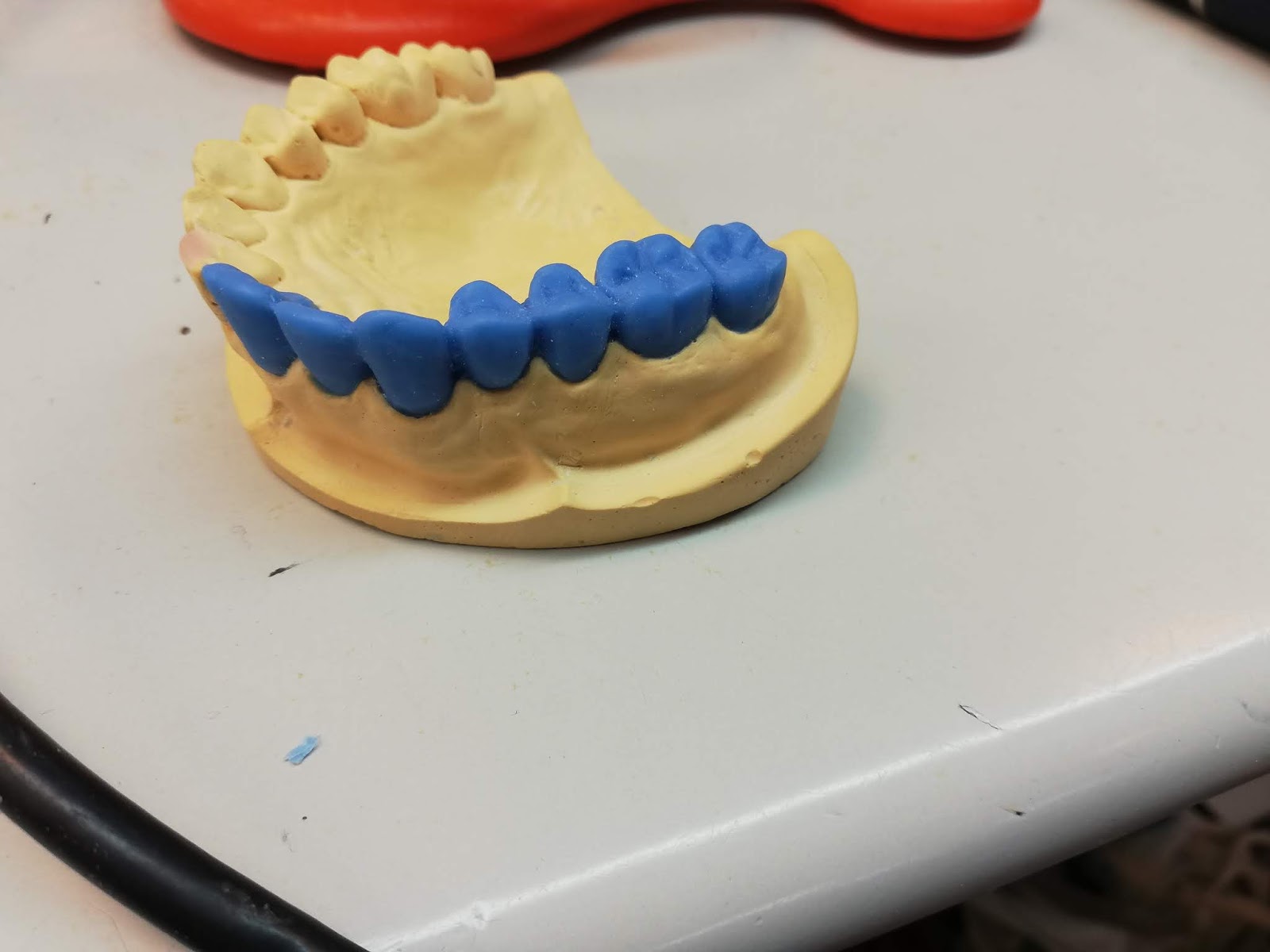 MODELADO HEMIARCADA ( EN CERA AZUL)