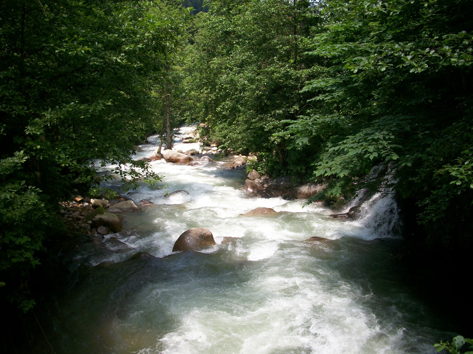 Kerim Yollarda: DOĞU KARADENİZ GEZİSİ - RİZE YAYLALARI (AYDER VE YUKARI ...