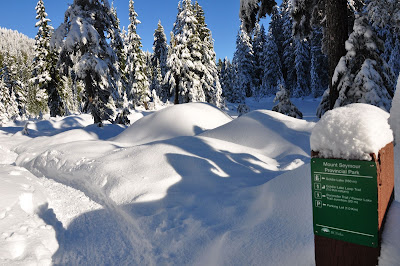 SATW Canada Travelling Teddy Bear Blog: Bella Bella goes snowshoeing