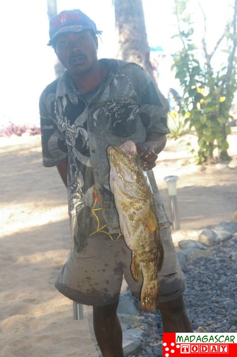 Madagascar Today: Hello Madagascar