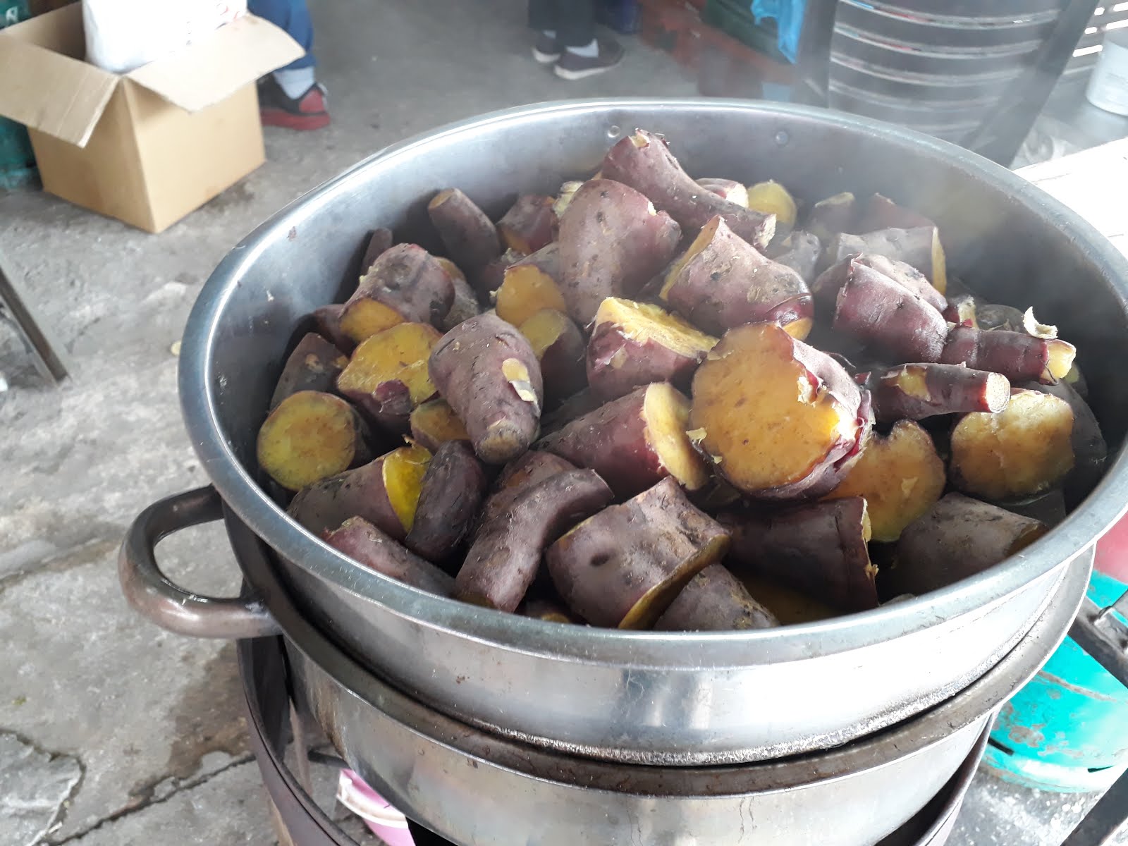 Farhana Jafri: Kea Farm Cameron Highland