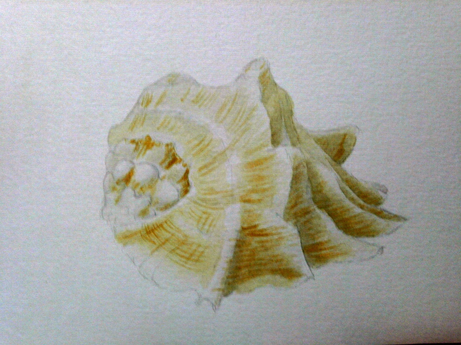Joyful Art: Sea shell painting using multilayer watercolors technique ...