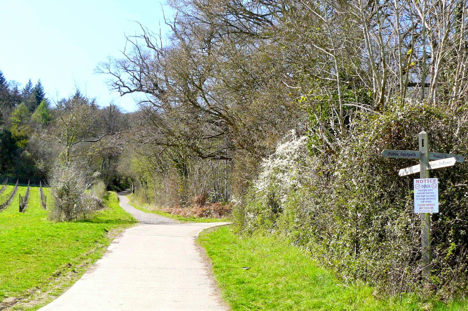Peter Lovett's ramblings : Denbies to Ranmore, three miles circular walk