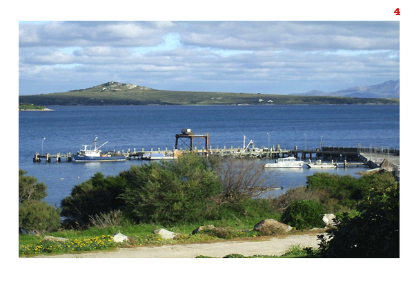 Rex Greeno: CONFERENCE PAPER: Nawi – Exploring Australia’s Indigenous ...