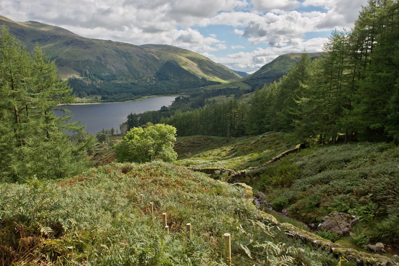 Wigtwizzle - Norman Smith's Travel Blog.: Harrop Tarn and Thirlmere