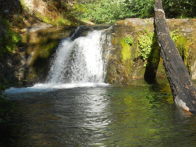 Southern Oregon Destinations: Jump Off Joe Creek