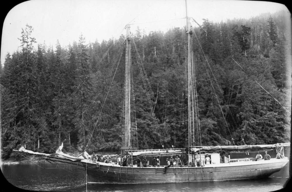 Northern Vancouver Island ~ The Undiscovered Coast: Sealing Schooner ...