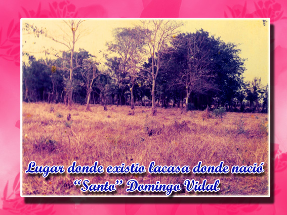 Santo Domingo Vicente Vidal Villadiego: VIDA DE DOMINGO VIDAL