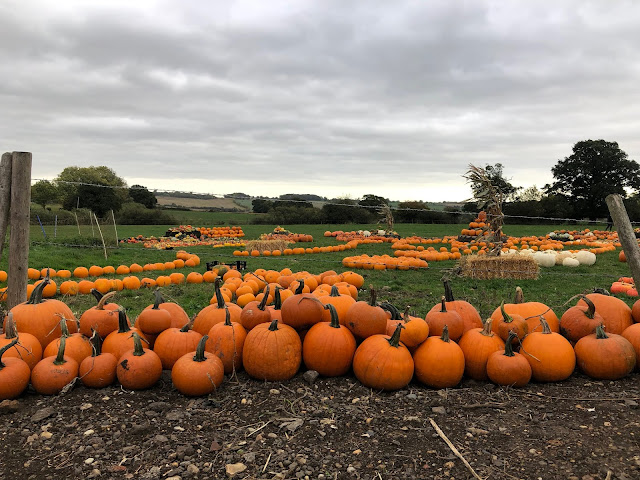 Autumn // I have this thing with Pumpkins {homegrown and an annual ...