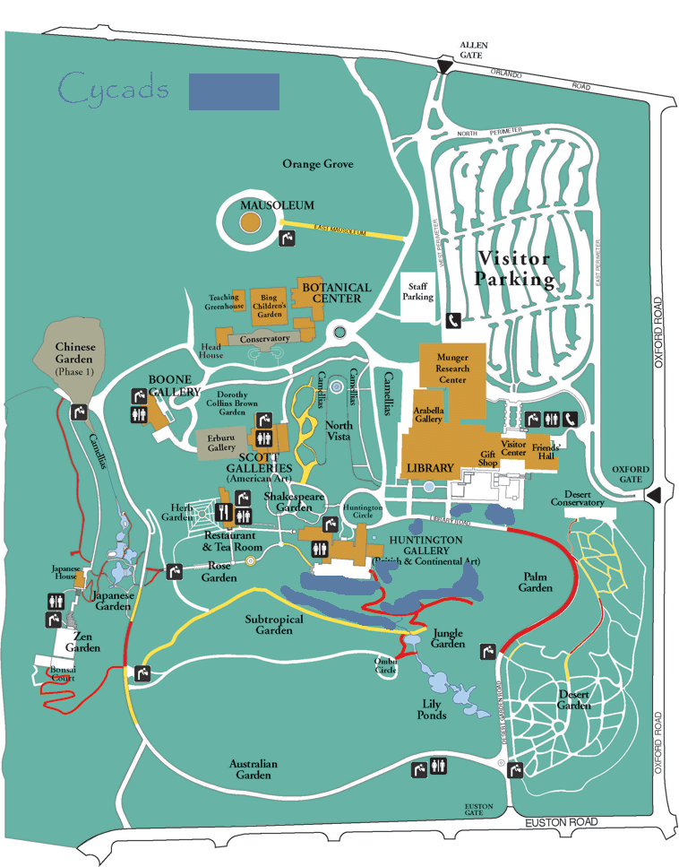 Huntington's Whitelock Cycad Collection Installation Nears Completion