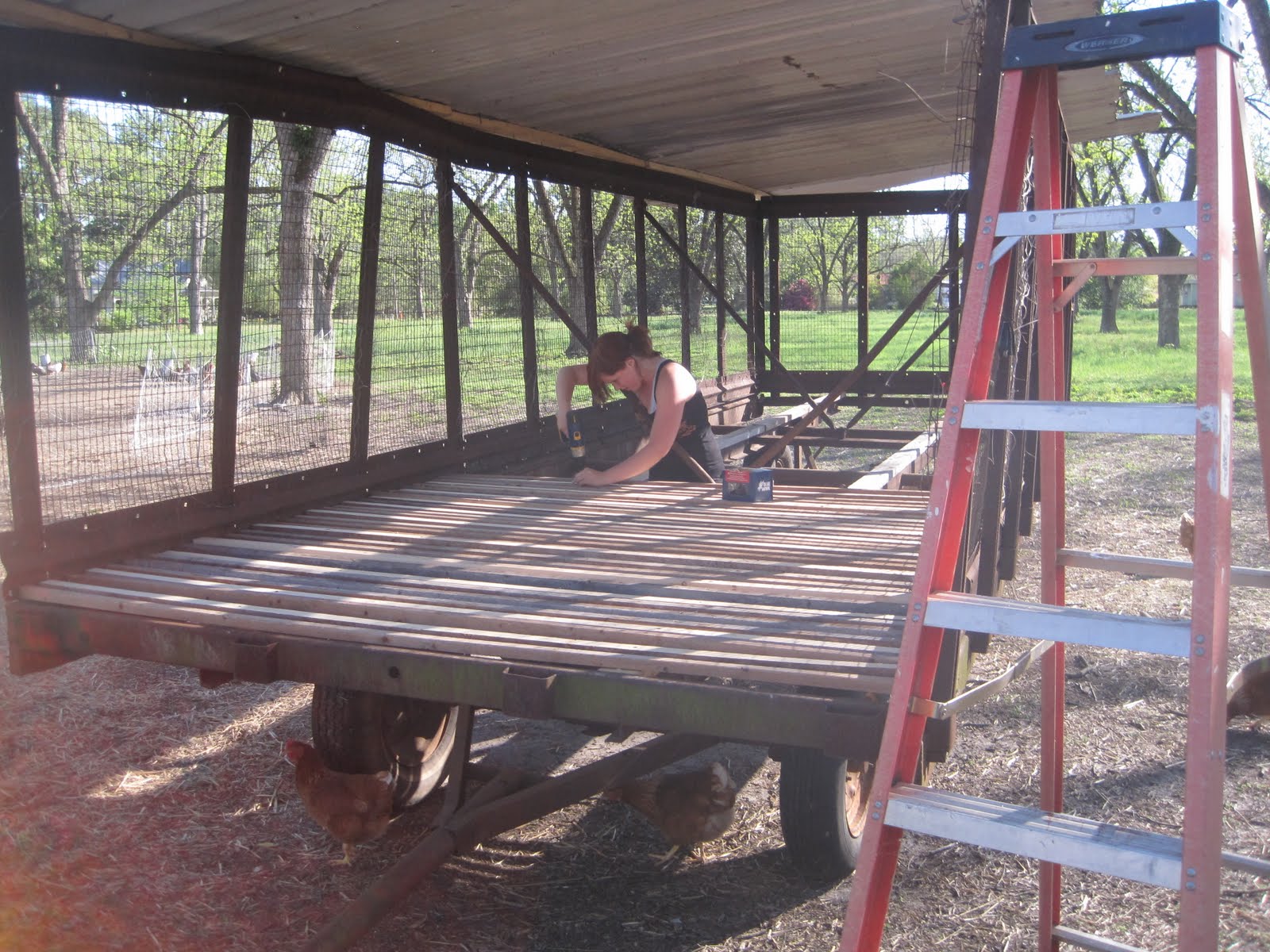 FRESH FARMING: The Chicken Wagon