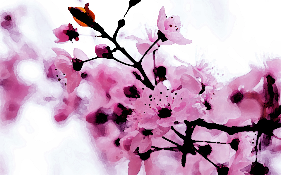 Eric Forster Fine Art: Almond Blossom