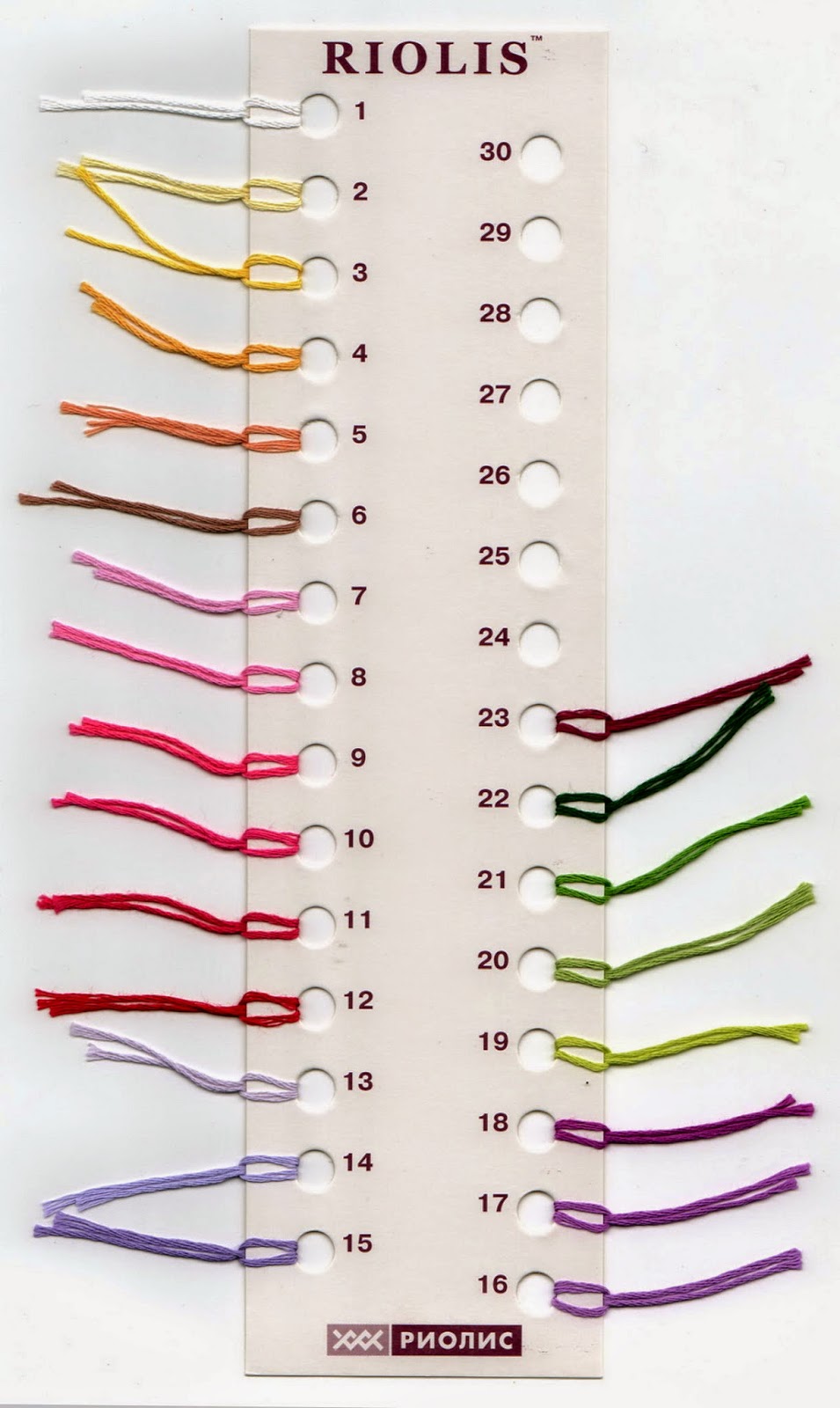 Вышивалка: Схема вышивки Riolis 1069 "Акварельные флоксы"