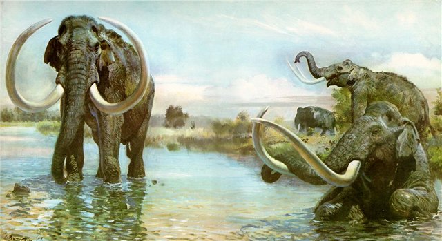 El profesor Bigotini: ELEFANTES. EL ORIGEN DE UNA RAZA DE GIGANTES