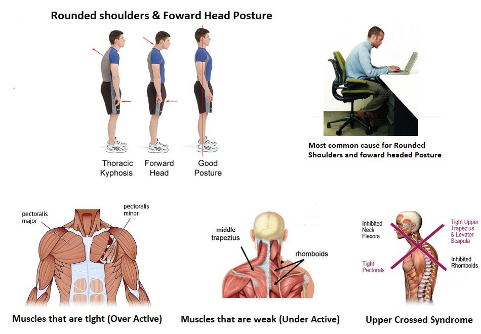 Holistic Health Coach - Kenneth Rego