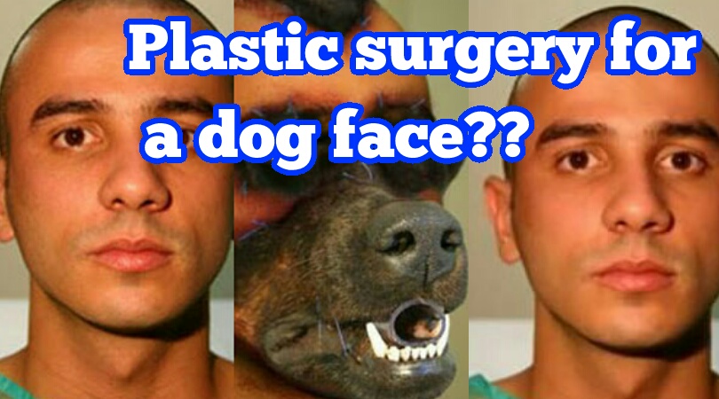 The truth behind dog face plasitic surgery.