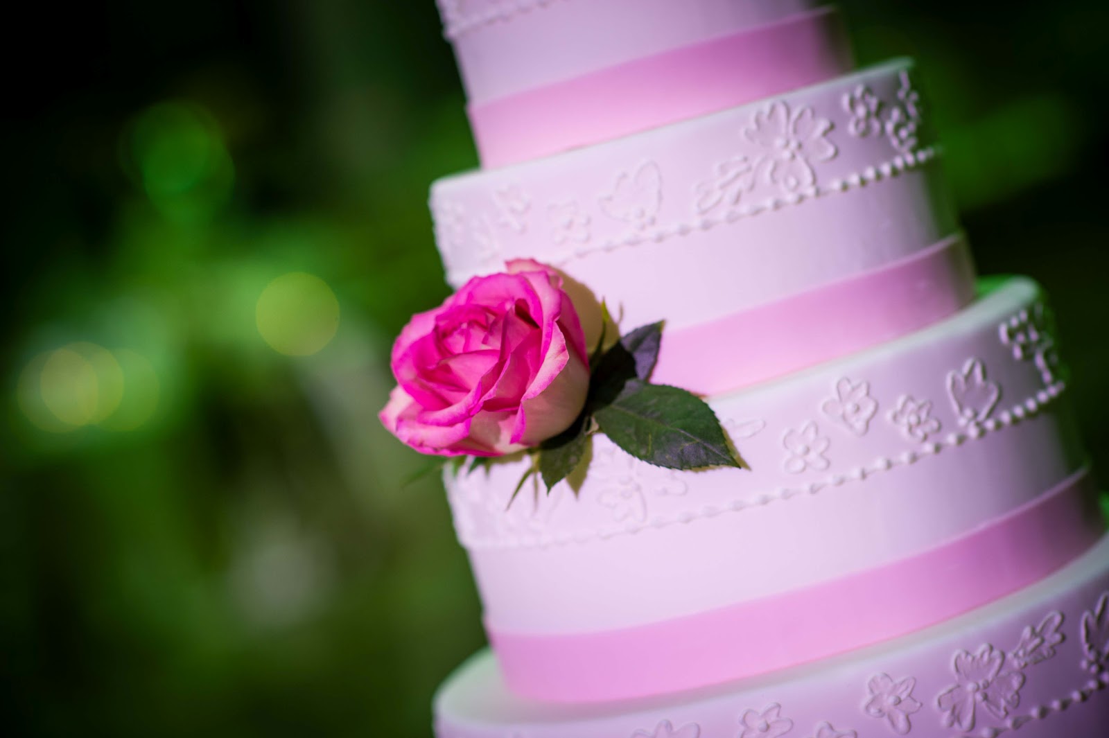 Bridal Bubbly: Irish Eyes Were Smiling {Erin + Mike}