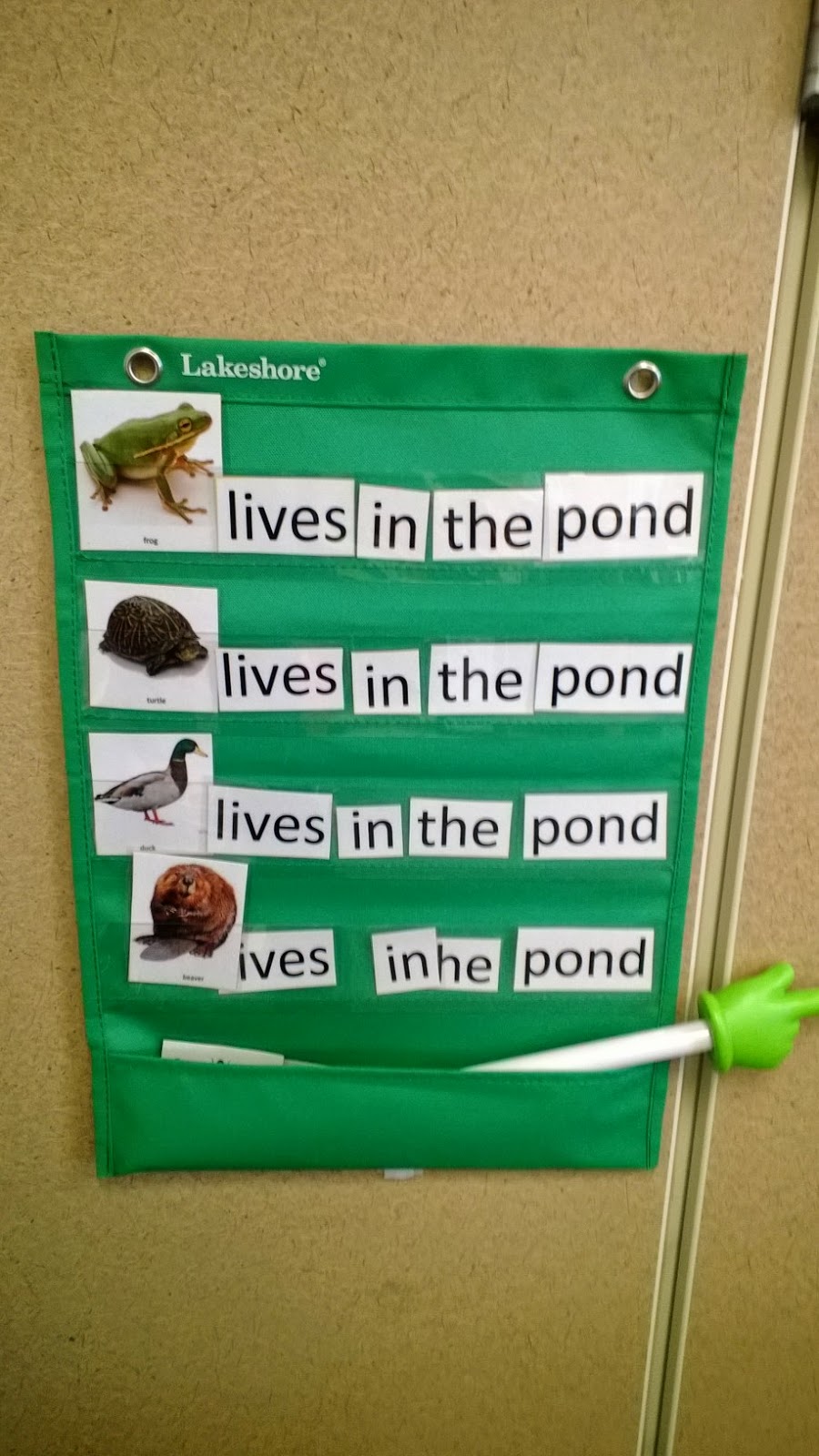 Learning knows no bounds - Teaching Special Education Preschool : Lakes ...