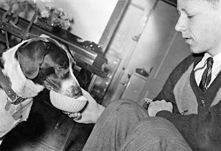 View from the Birdhouse: Dear Abby - Famous TV Dogs: Snoopy