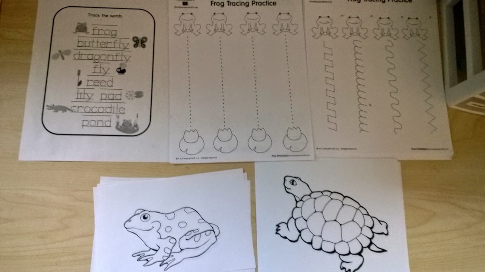 Learning knows no bounds - Teaching Special Education Preschool : Lakes ...