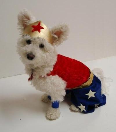 Floral Pearls: KABOOM, POW, ZING!!!