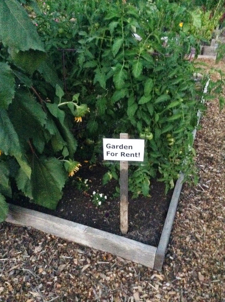 Campbell Community Garden: Gardens For Rent!