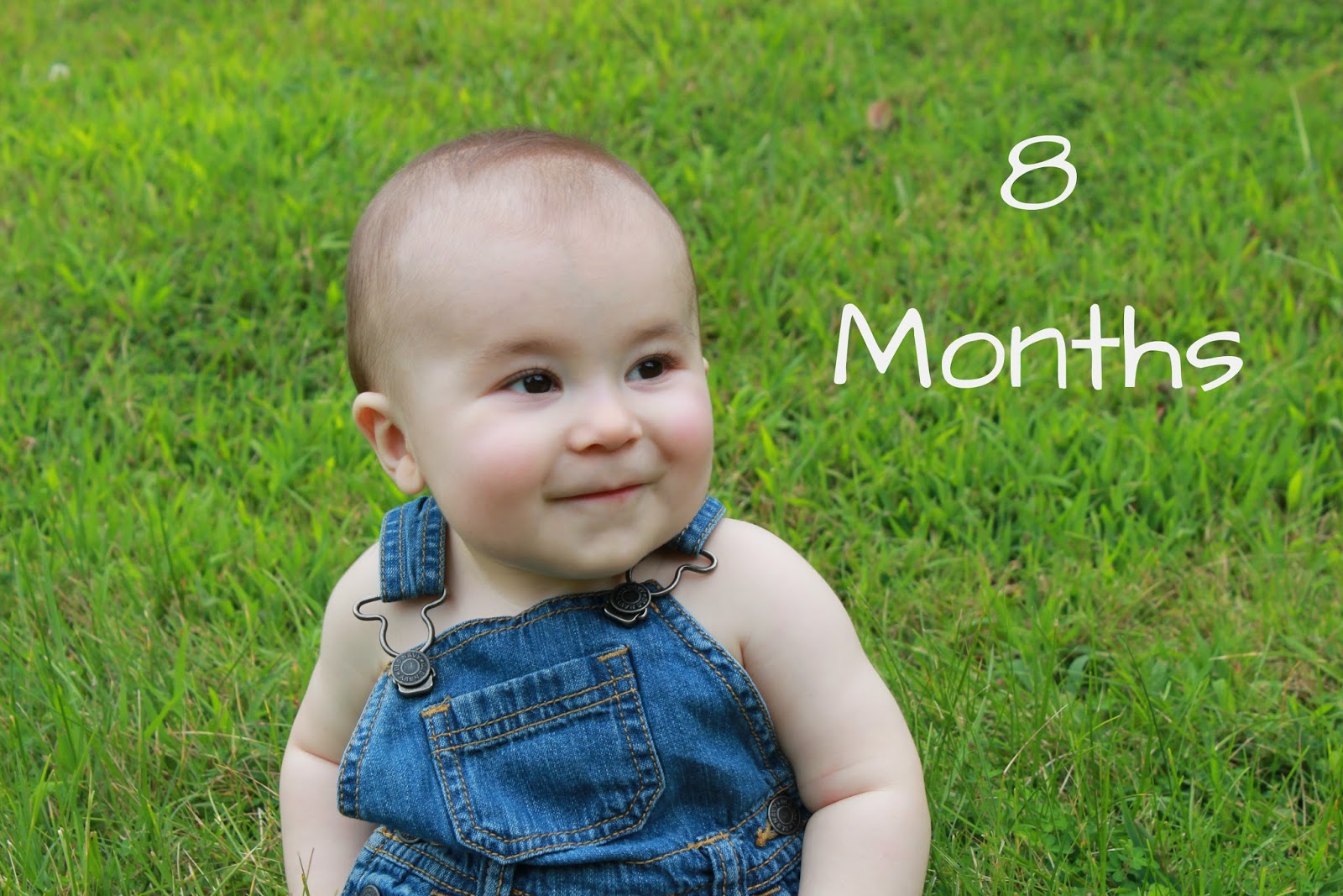 Little King's Nest: 8 Month Photos