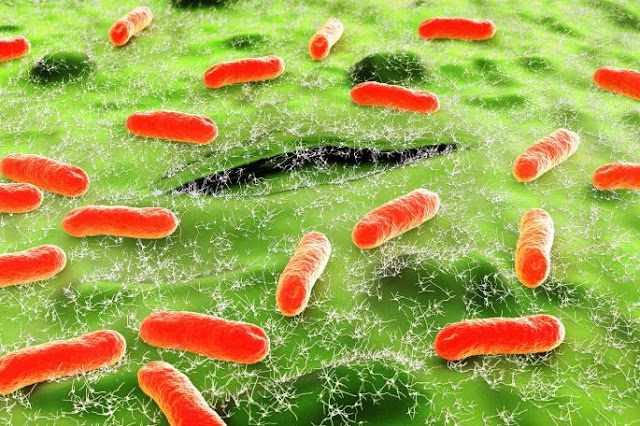 WHY IS SAN FRANCISCO SUFFERING FROM A COPROPHILIA OUTBREAK? - Trad News