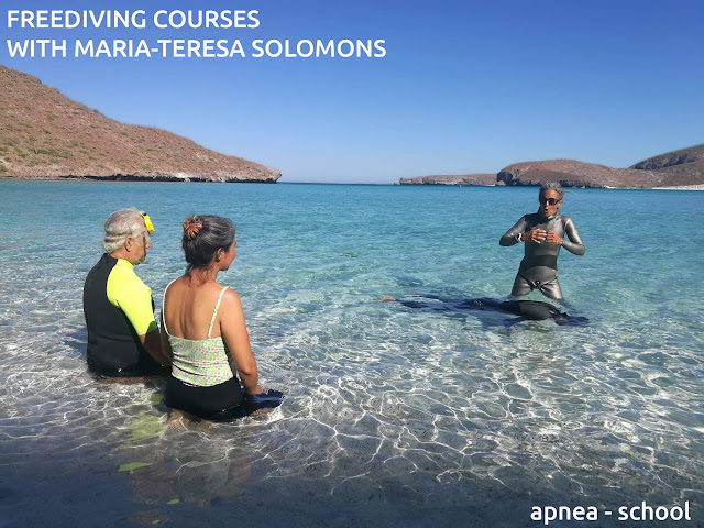 FREEDIVE COE | MT SOLOMONS FREEDIVE CENTER