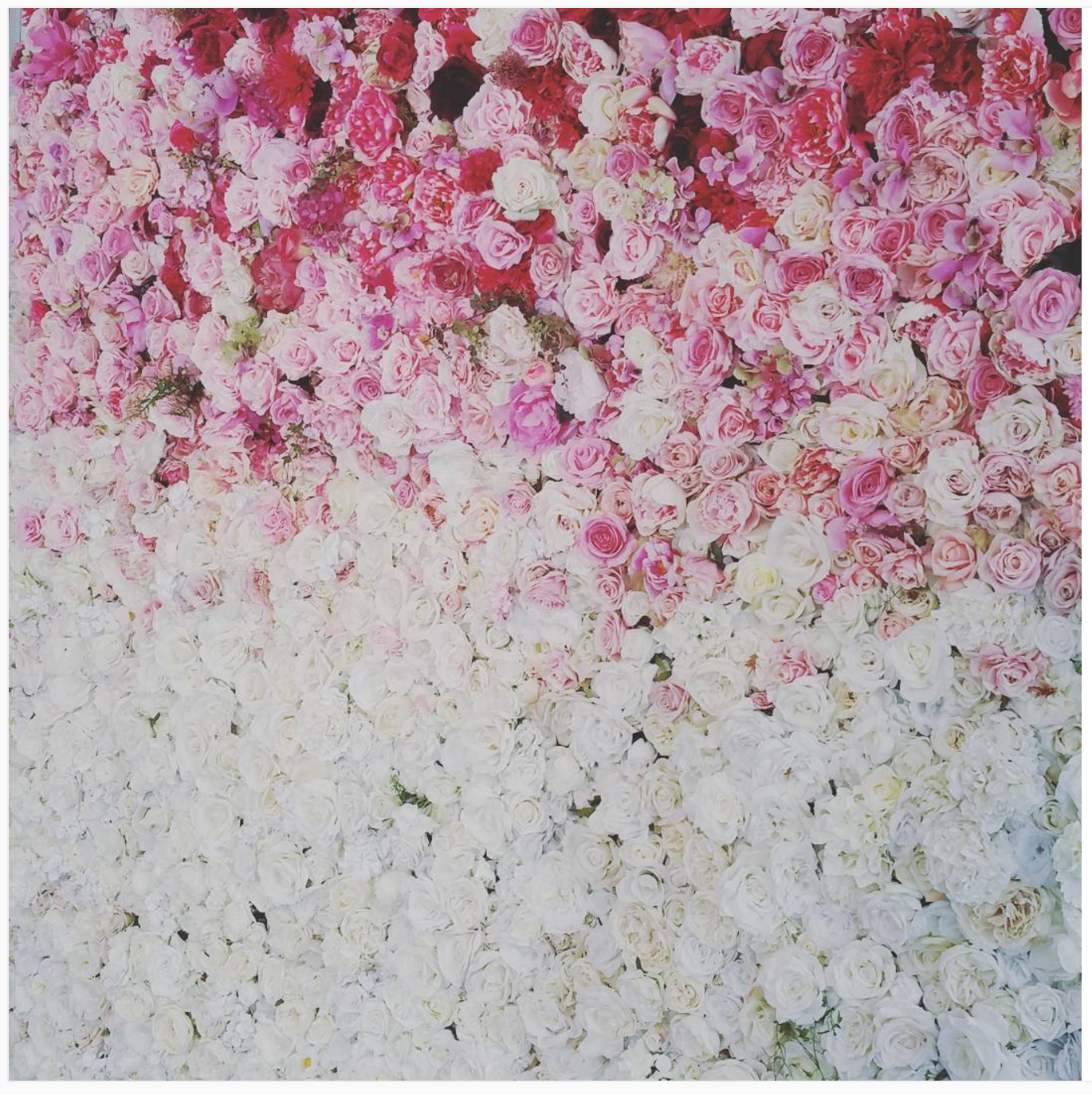 Decoración con Pared de Flores