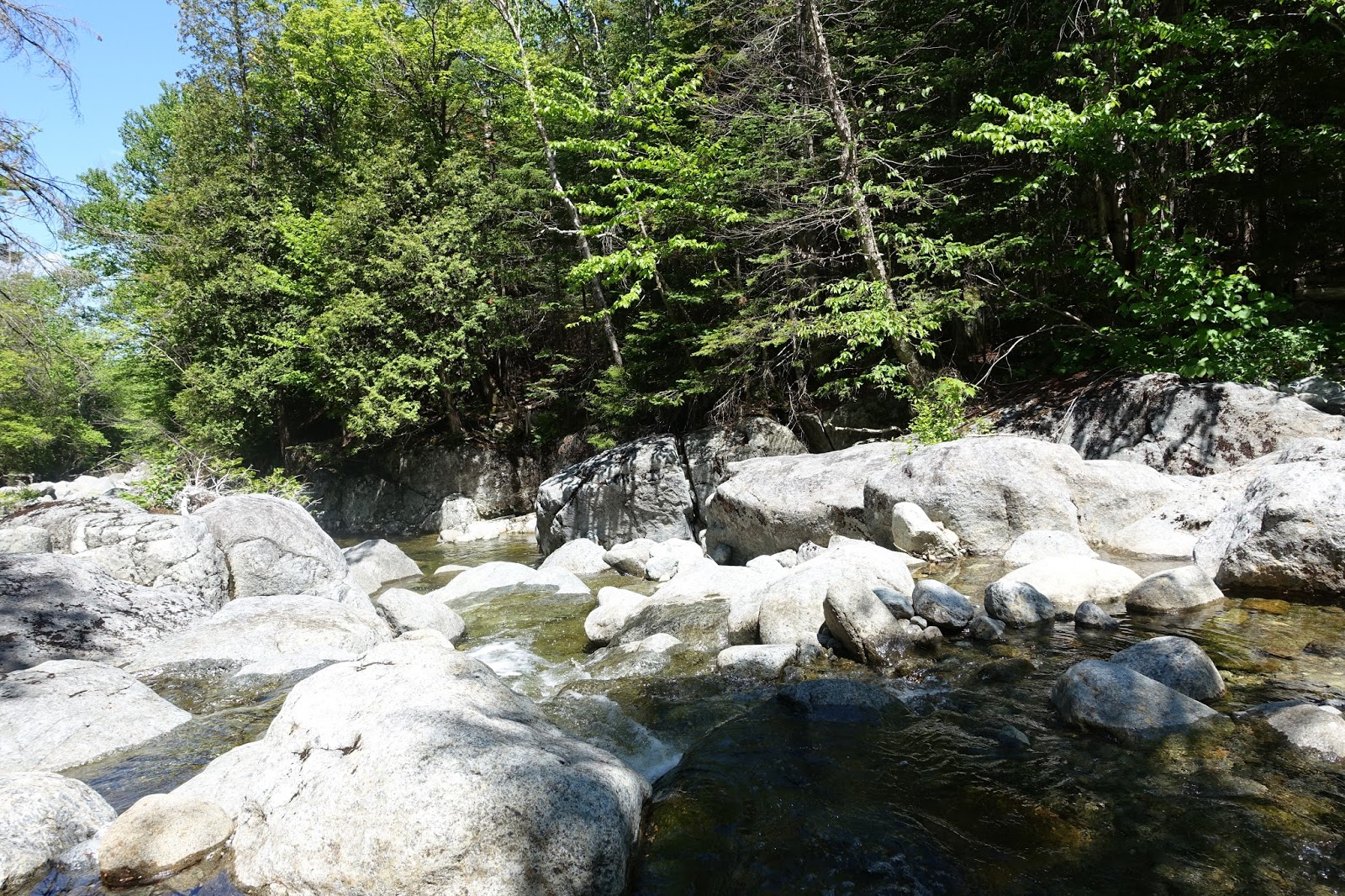 Of Rock & Riffle: Northeast American Genryu #3 - NYC Tenkara Anglers in ...