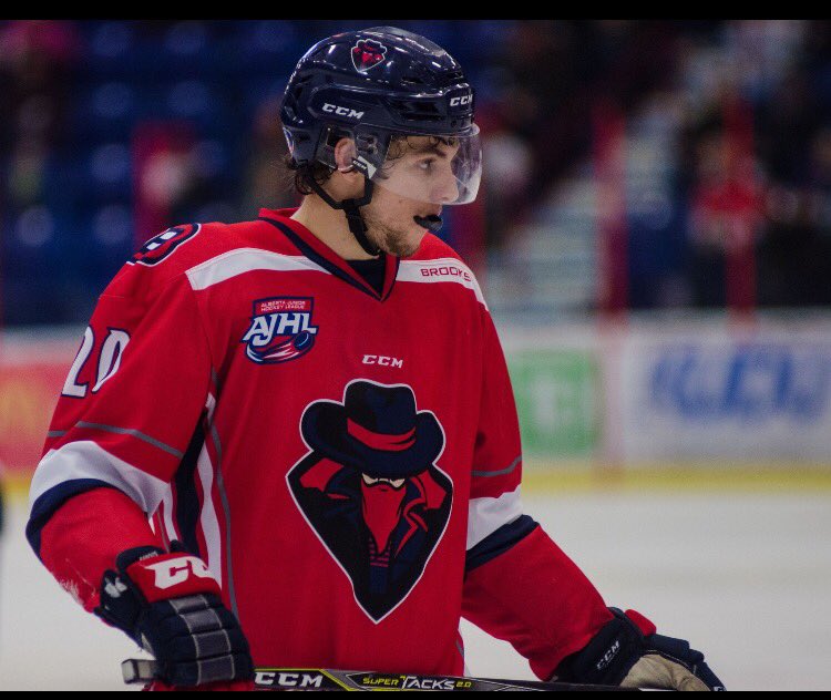 Bobcats Hockey Blog: In the Pipeline: 1/15/2018