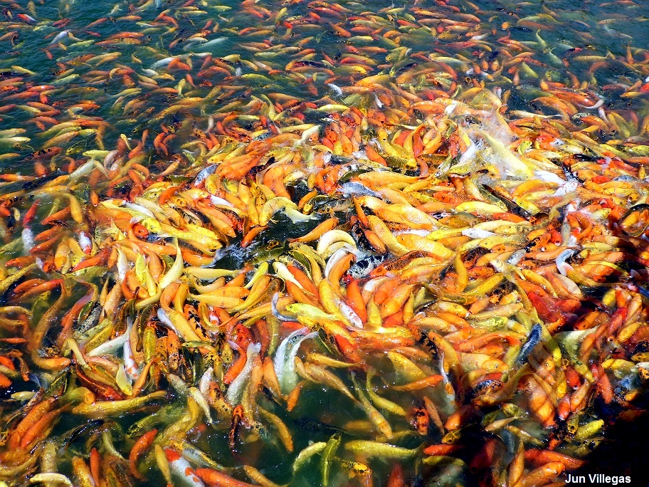 Smart Backpacker: Nuvali