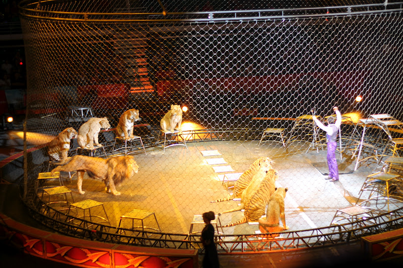 Twelve Makes a Dozen: It was a Circus!