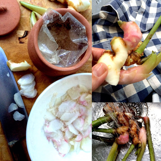 Alessandra Zecchini: How to grow and make your own gari (pickled ginger ...