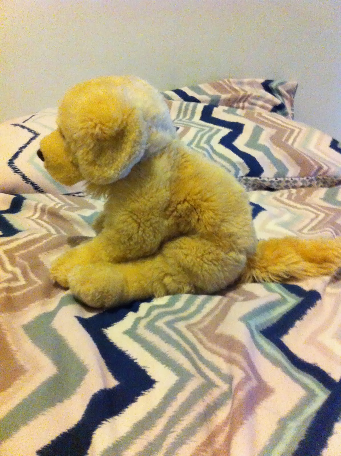 Emmakinz1997: Webkinz Spotlight: Signature Golden Retriever