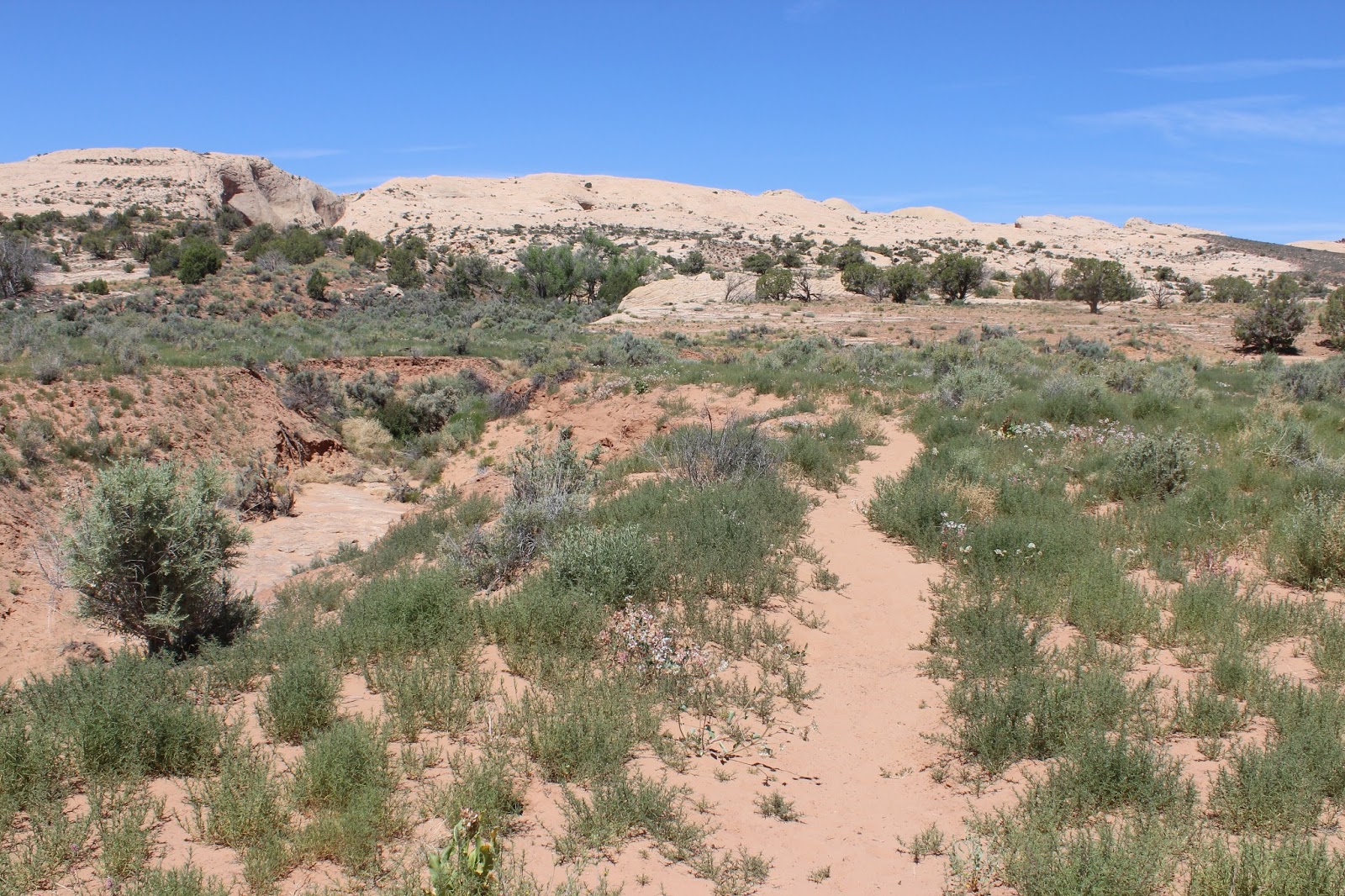 gjhikes.com: Cold Spring Cave