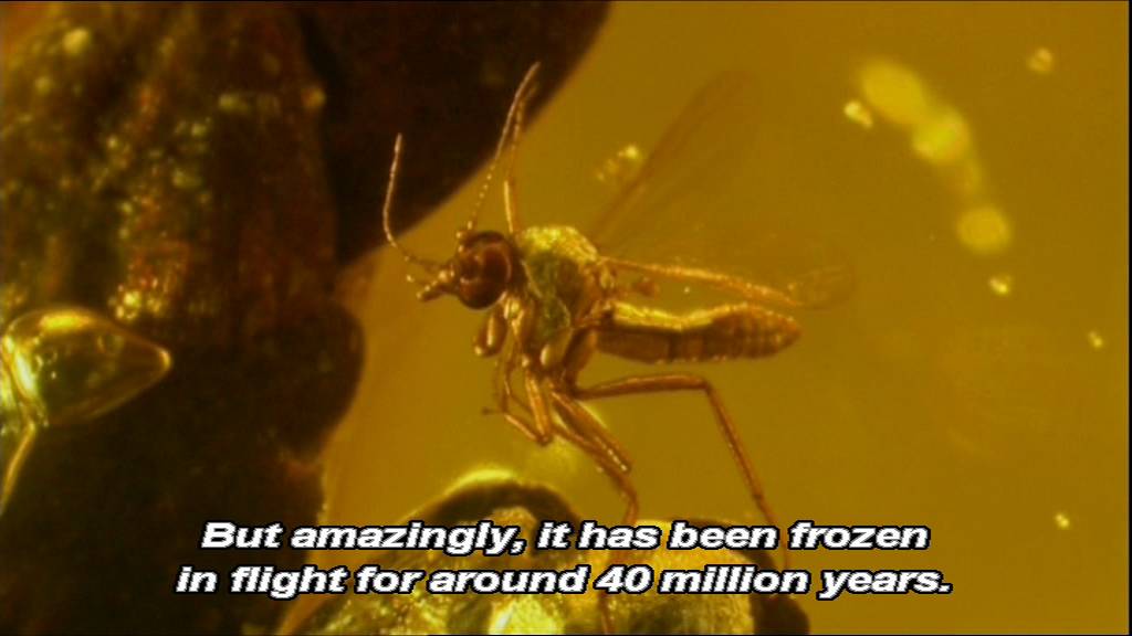 Elokuvahömppää: The Amber Time Machine