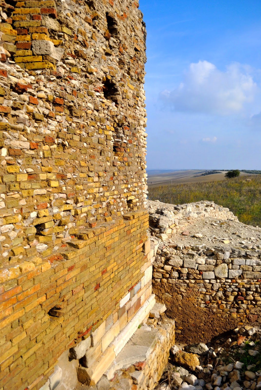 In Apulia: Frederick II the Swabian, puer Apuliae...
