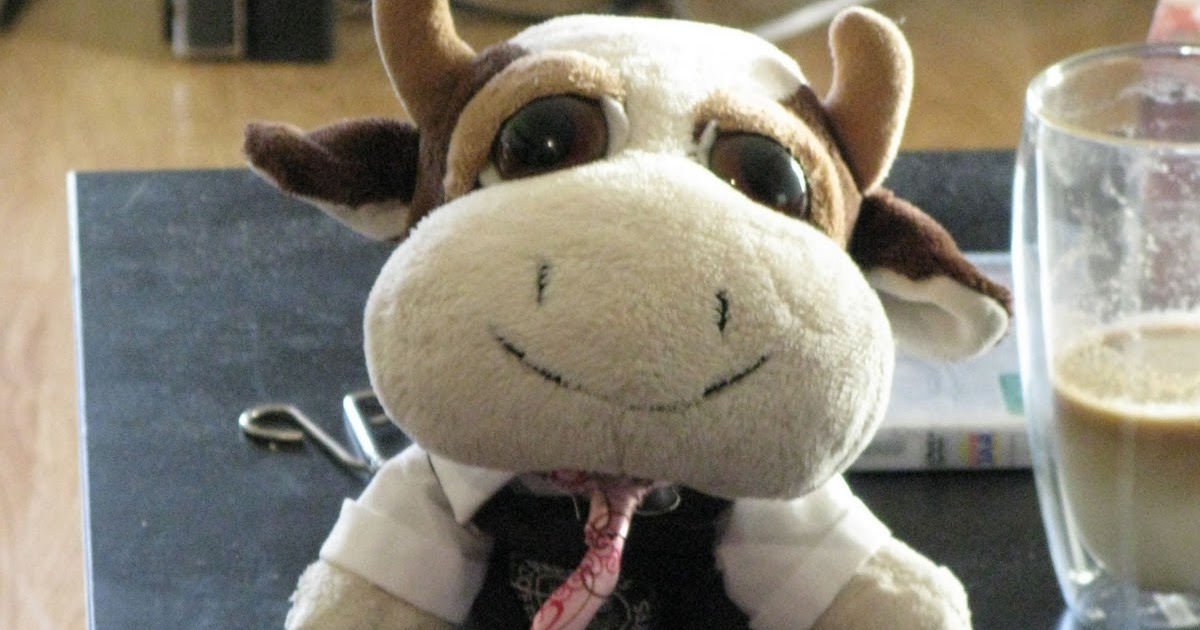 Mr. Moo's Adventures: About Moo