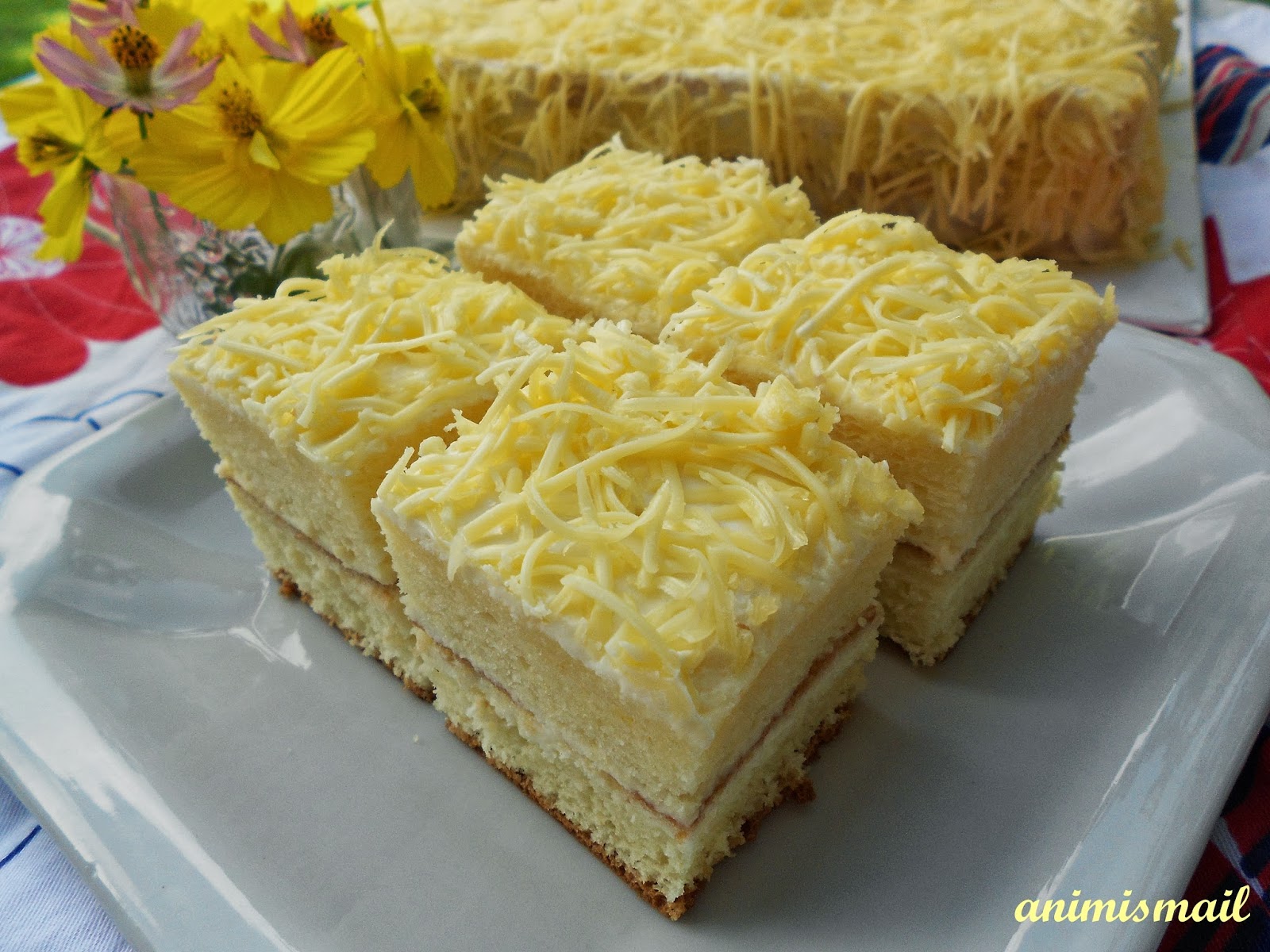 Cheesy Cheesecake | a N i M