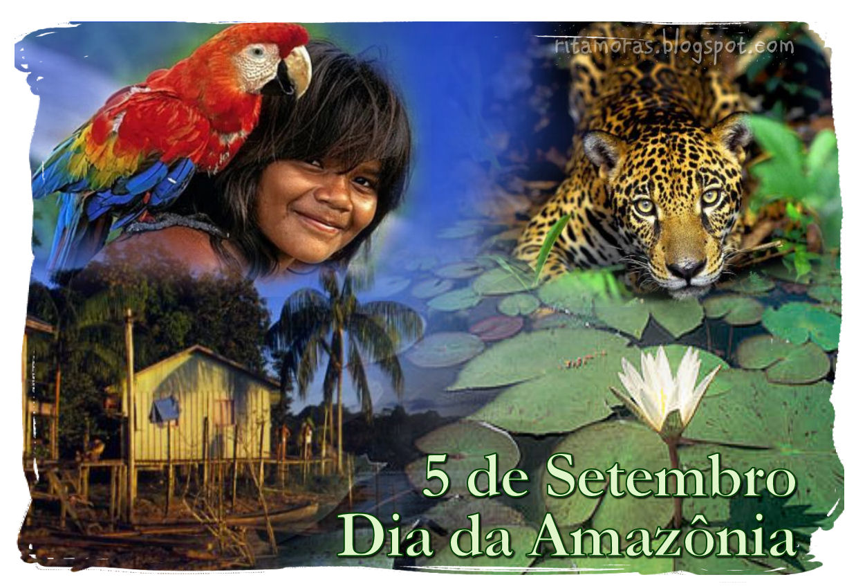 .♥♥♥♥♥♥♥♥♥♥♥♥Bem-Vindos♥♥♥♥♥♥♥♥♥♥♥♥.: Cartões e Mensagens para O Dia da ...