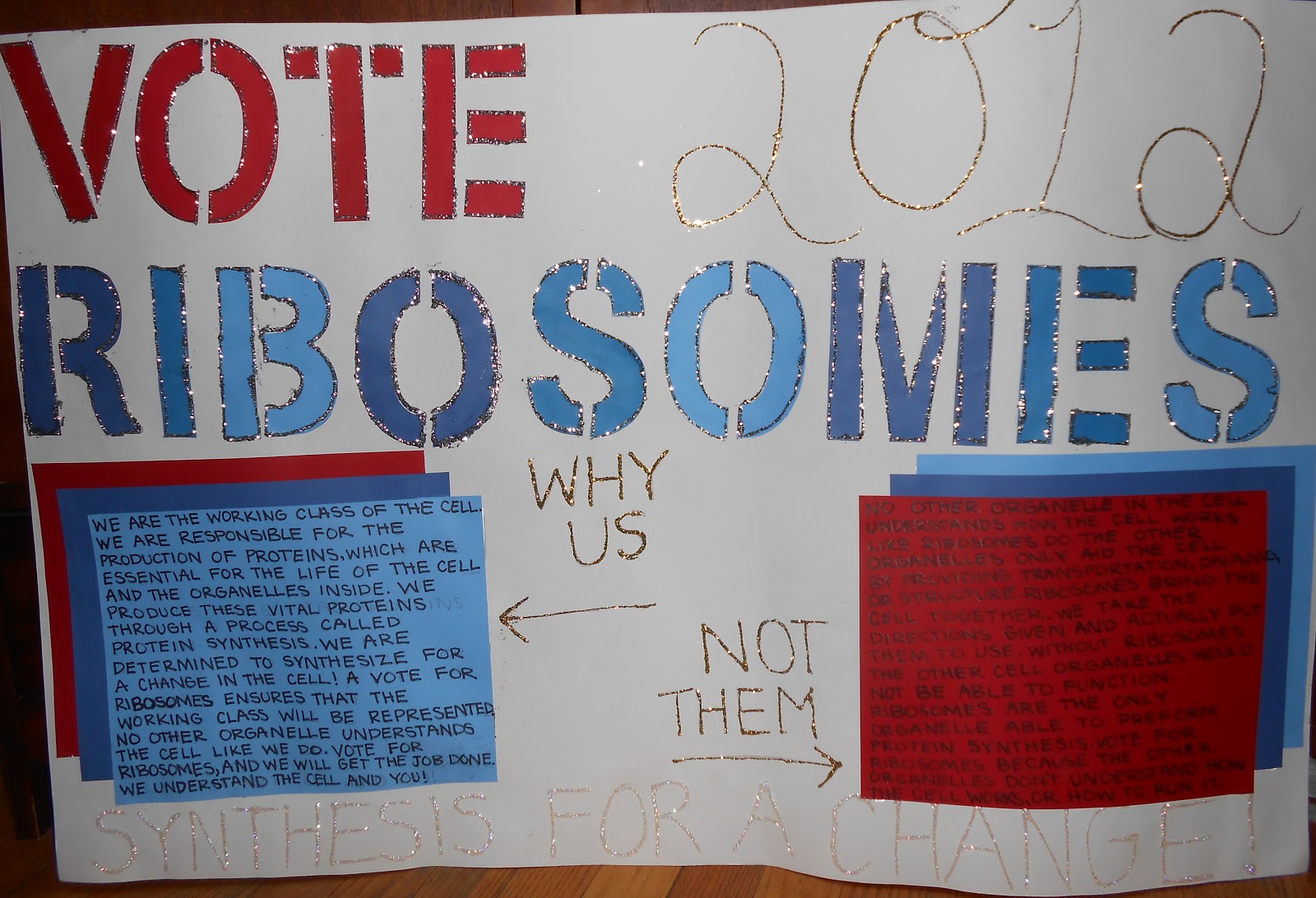 The Ramblings of an AP Bio Student