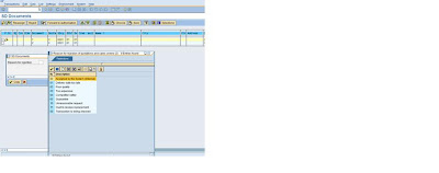 SAP Functionals: VKM3