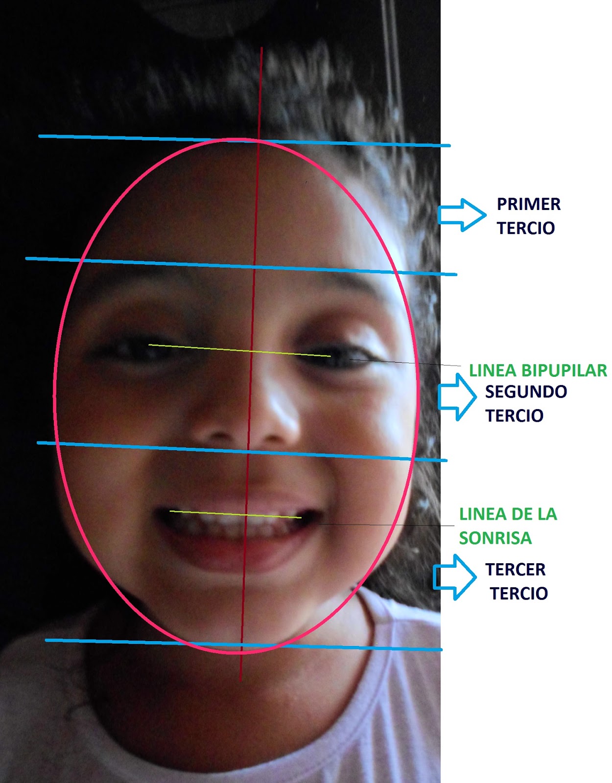 Dentistry's place.: ANÁLISIS DE SONRISA