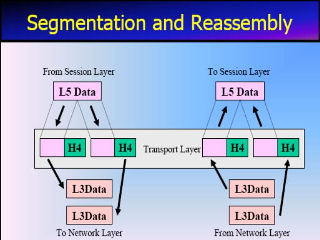 Networking(DCCN): OSI Reference Model