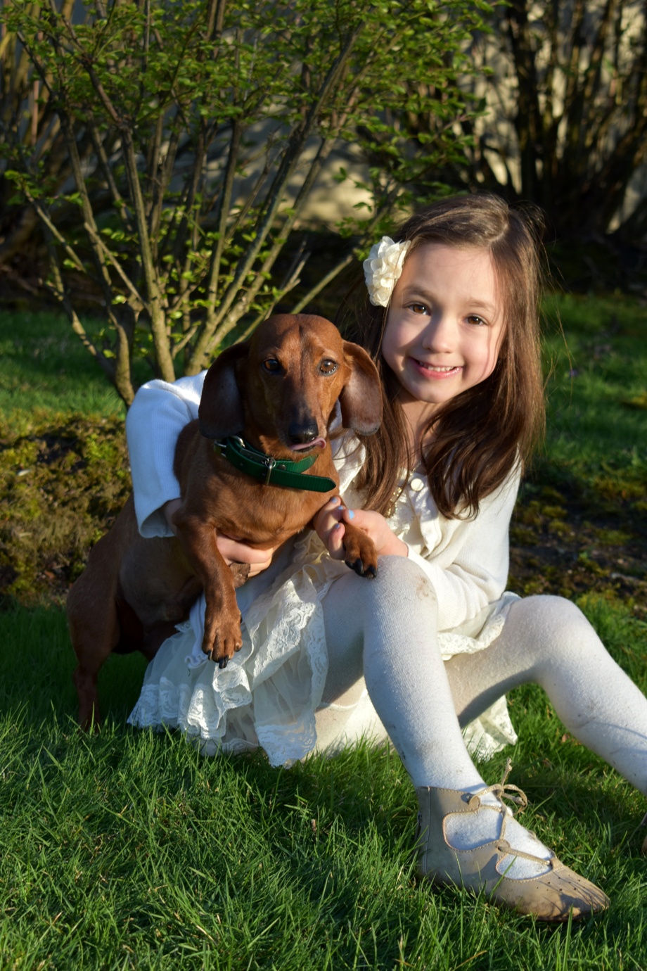 How to Build a Strong Relationship with Your Dogs | The Nutritionist ...