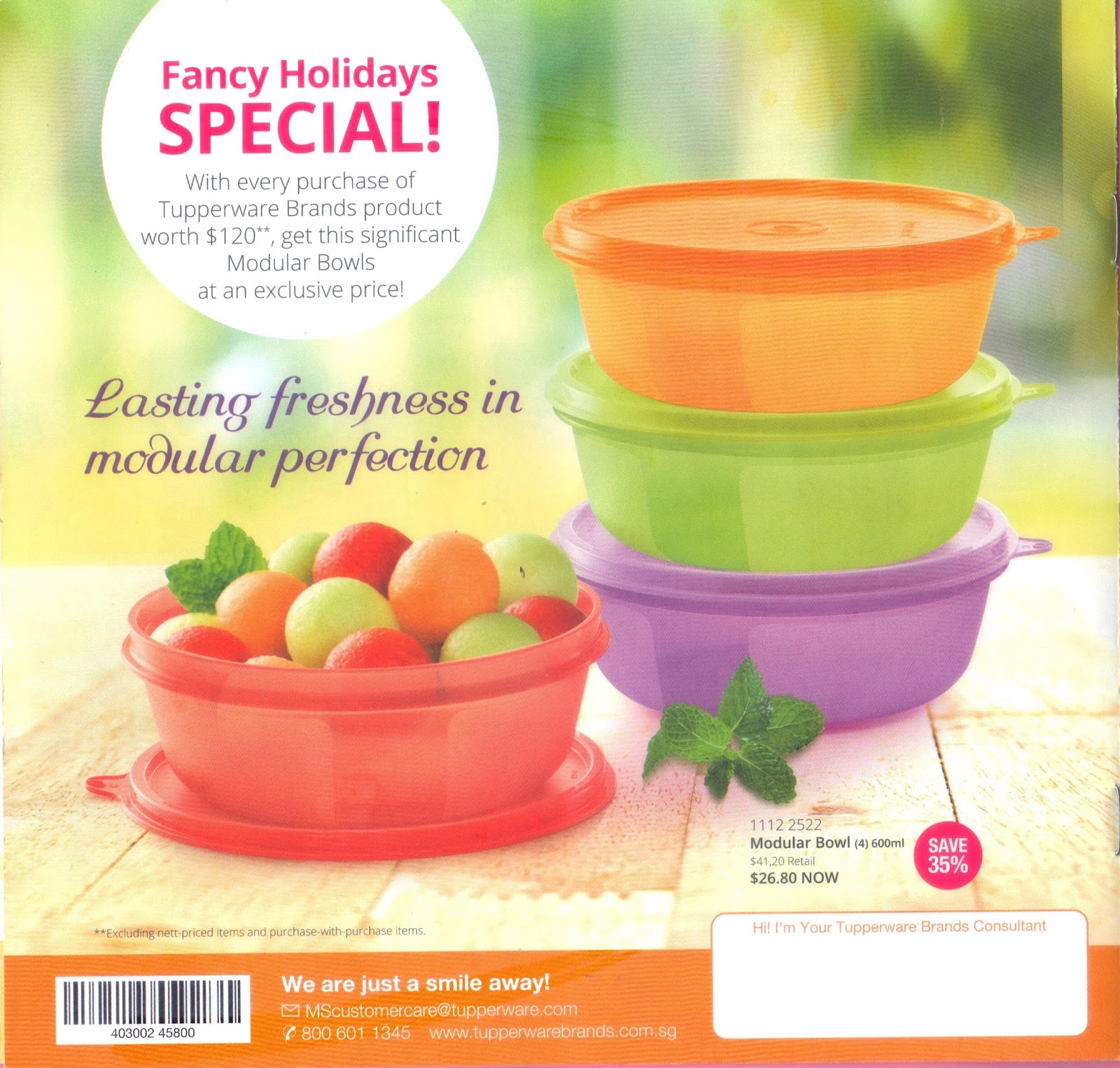 Tupperware Special from July 2007 onwards: Extravagant Holidays